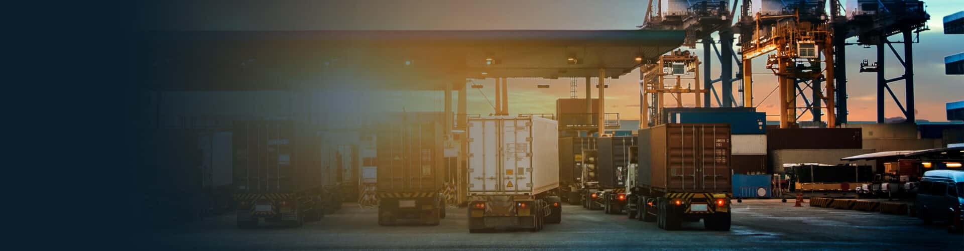 Evolving Automation Ecosystems - Visy